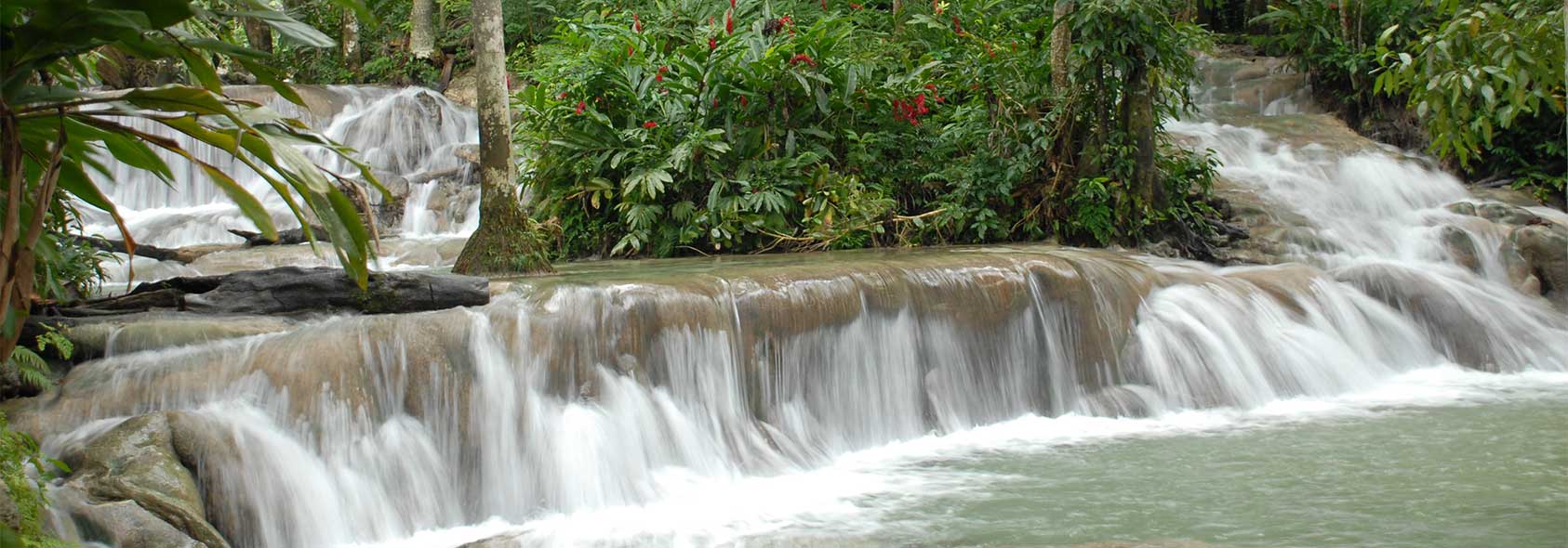 Hôtels à Runaway Bay avec un service tout inclus - Bahia Principe ...